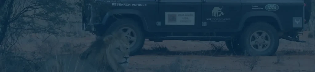 SATIB Insurance Brokers: Specialist Cover for Tourism & Leisure ...